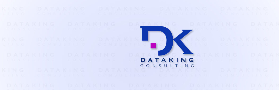 Partners – Dataking Consulting